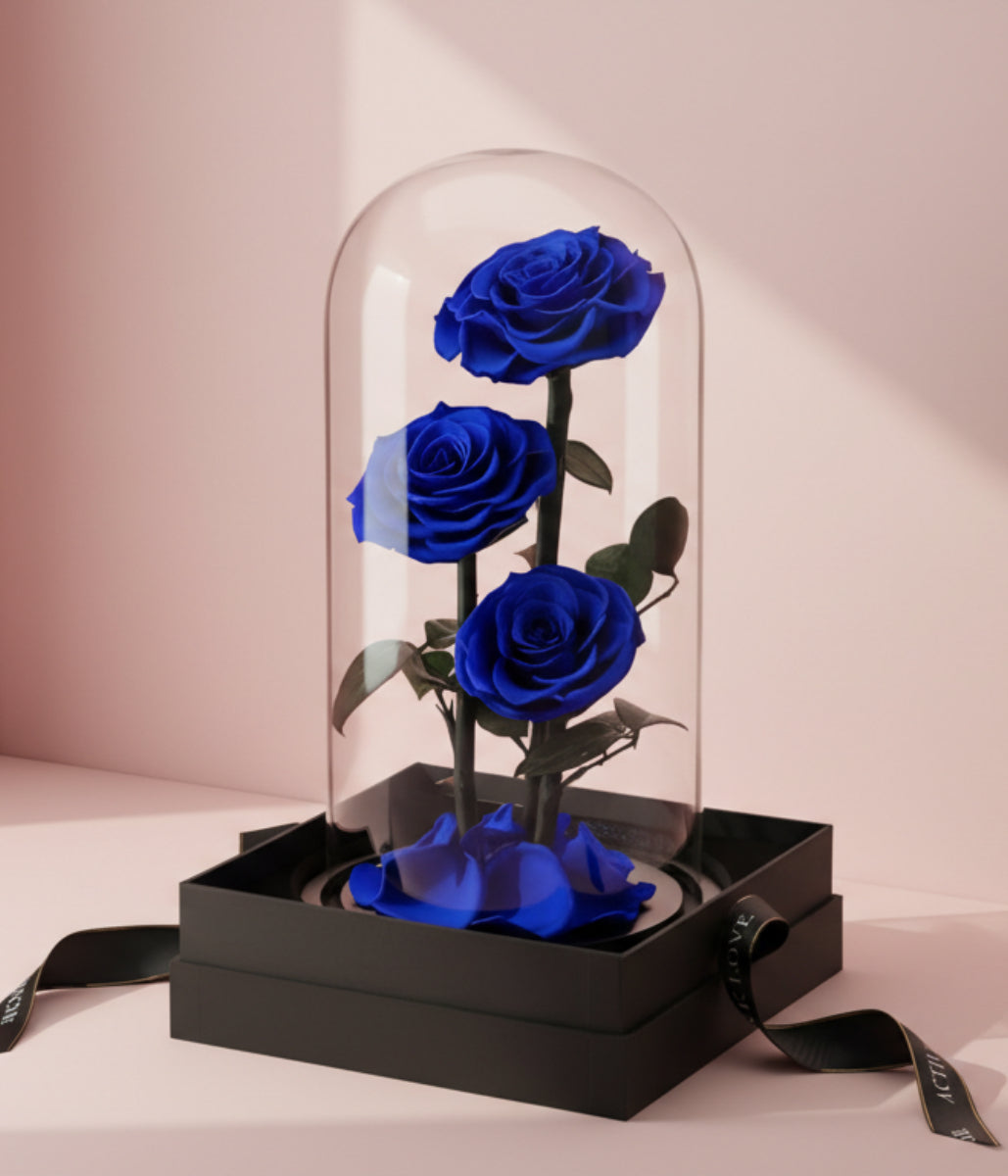 3 Preserved Blue Rose – Petal Frost